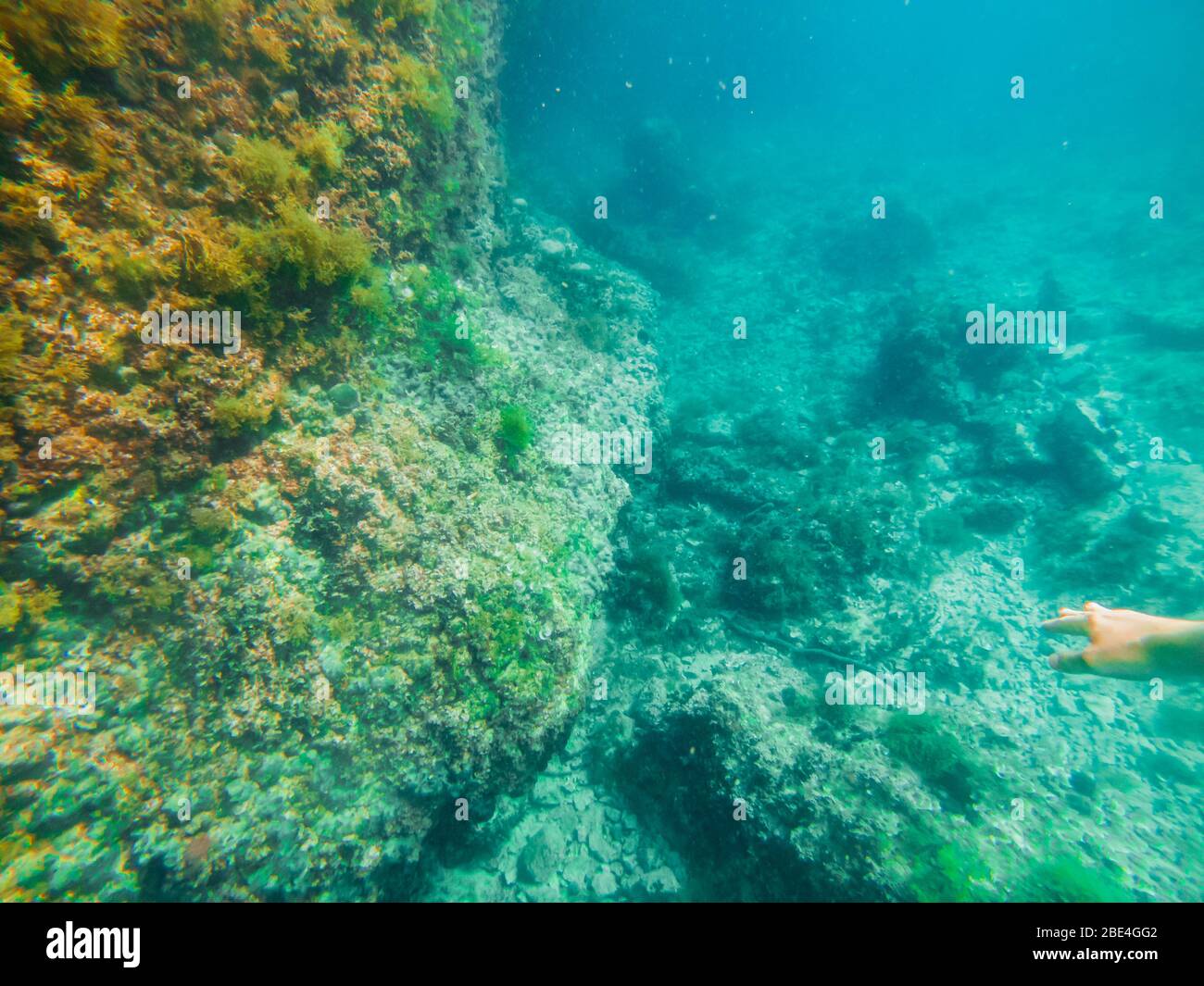 Sfondi Vista Mare Immagini e Fotos Stock - Alamy