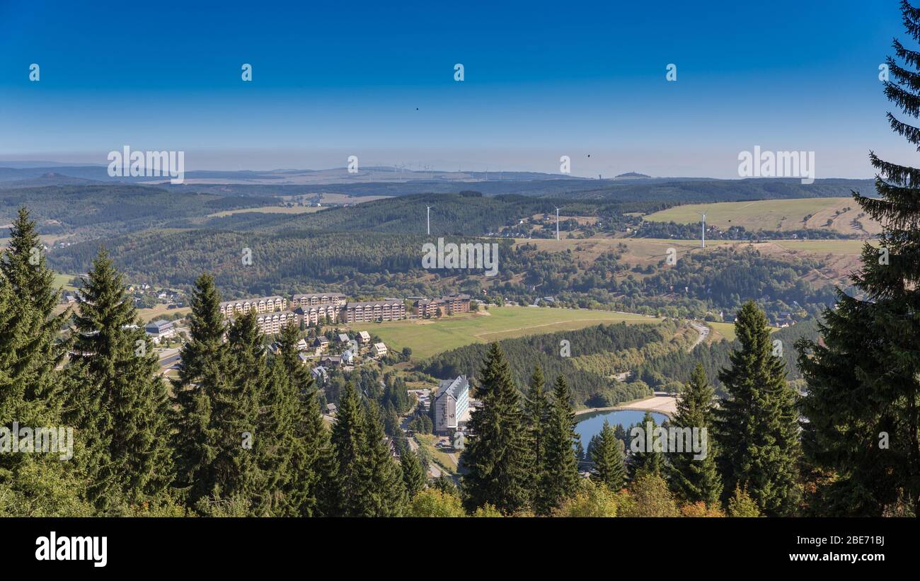 Pineta foresta germania immagini e fotografie stock ad alta risoluzione ...