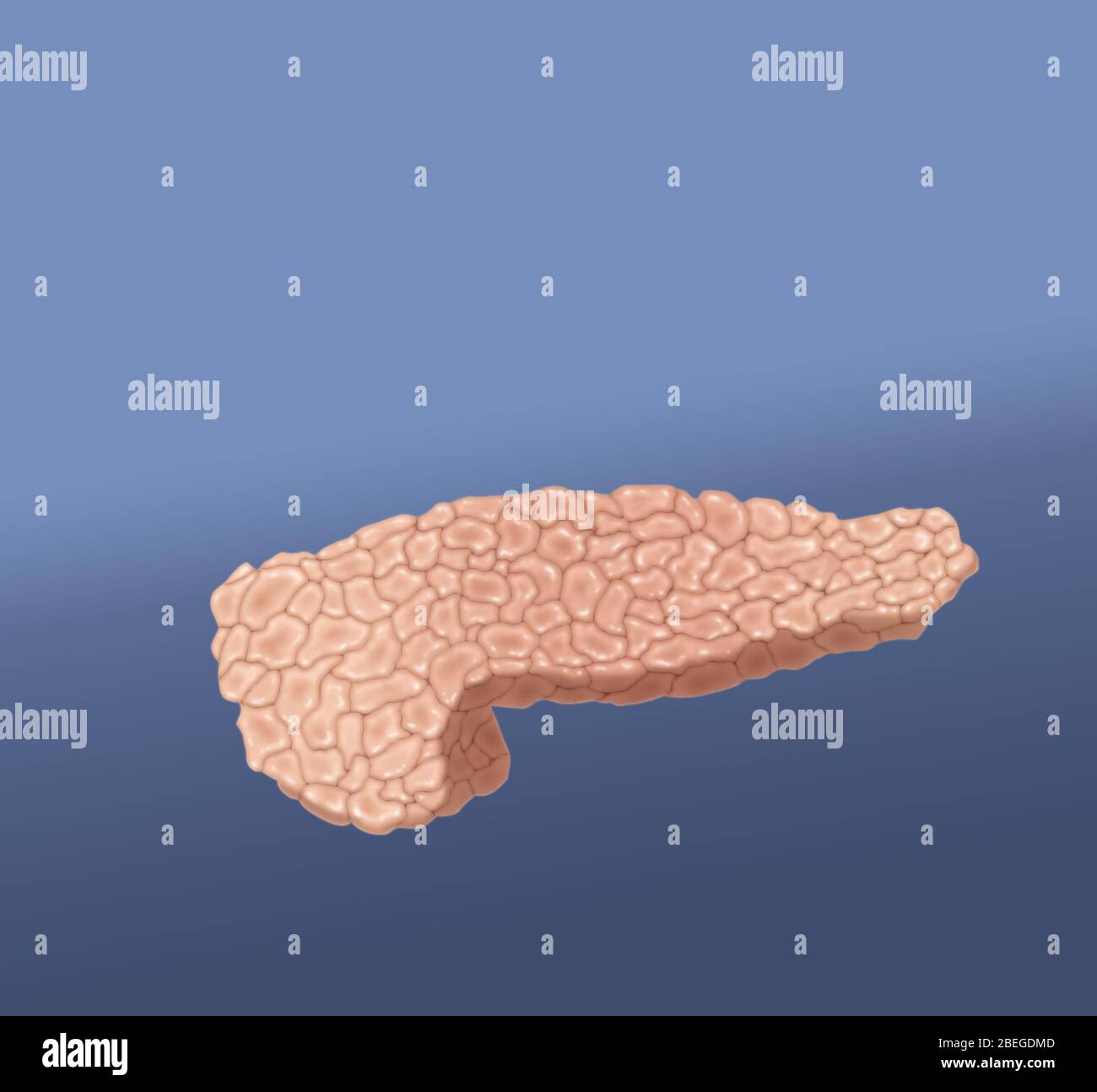 Pancreas diabetes immagini e fotografie stock ad alta risoluzione - Alamy