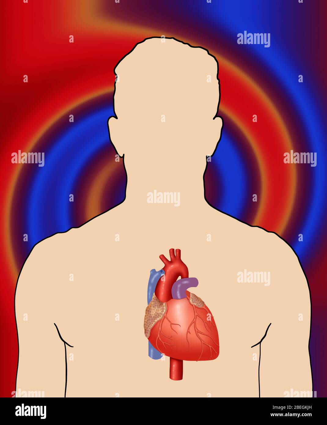 Posizione del cuore immagini e fotografie stock ad alta risoluzione - Alamy