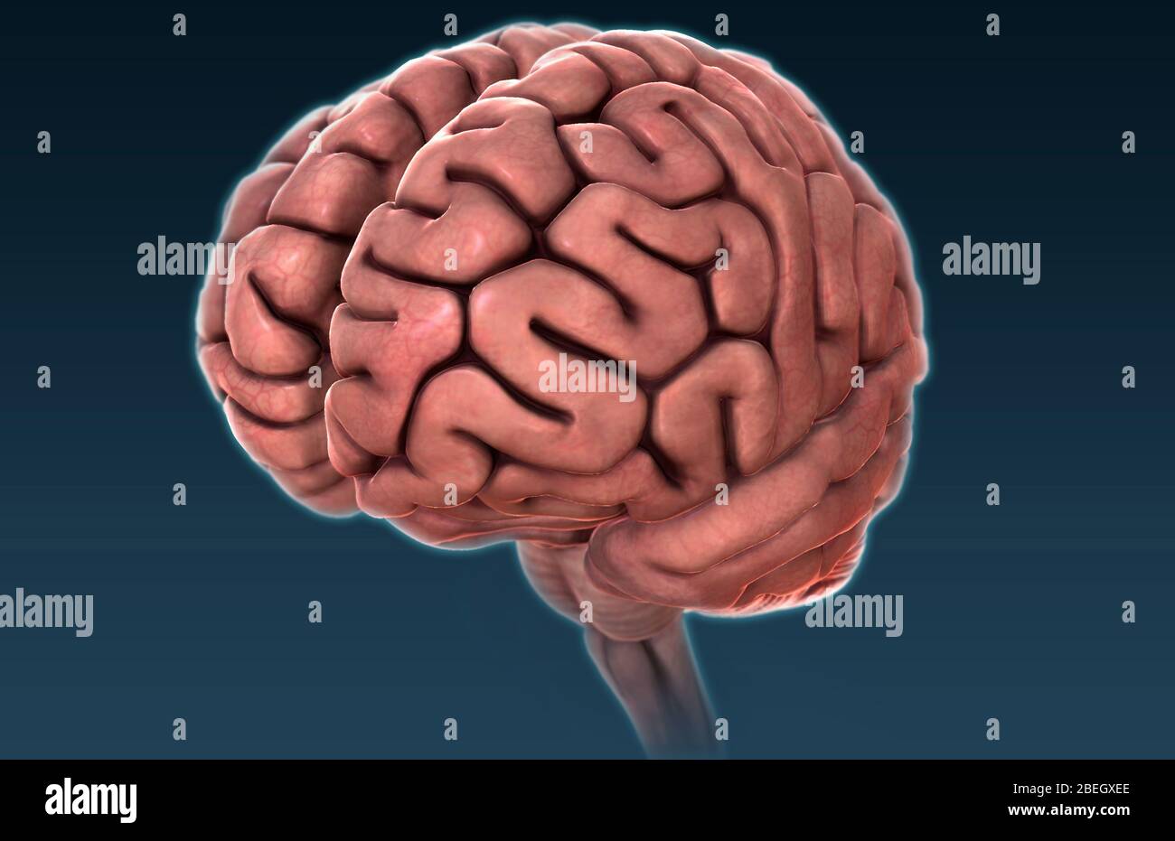 Cervello 3d fondo blu immagini e fotografie stock ad alta risoluzione ...