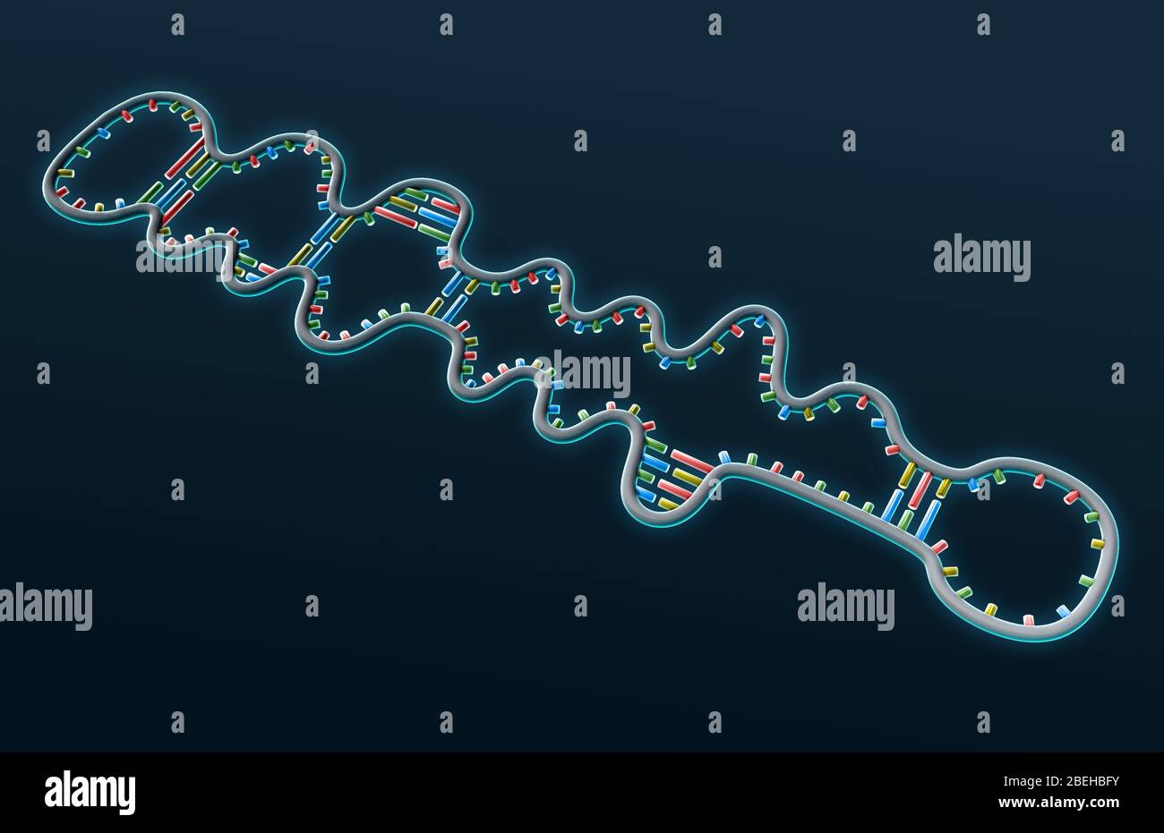 Uracil molecular immagini e fotografie stock ad alta risoluzione - Alamy