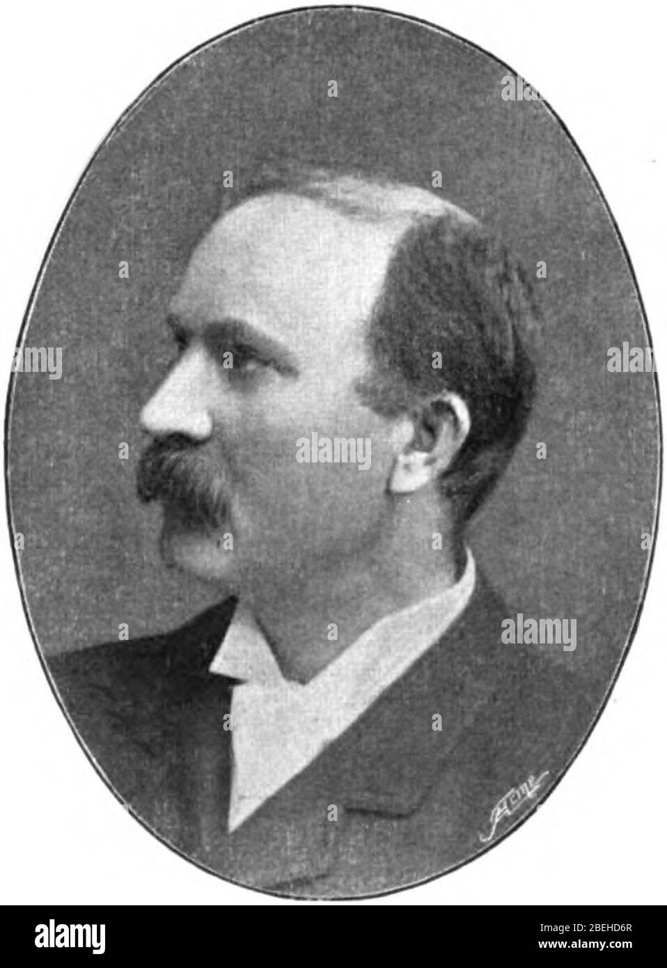 Timothy harrington immagini e fotografie stock ad alta risoluzione - Alamy