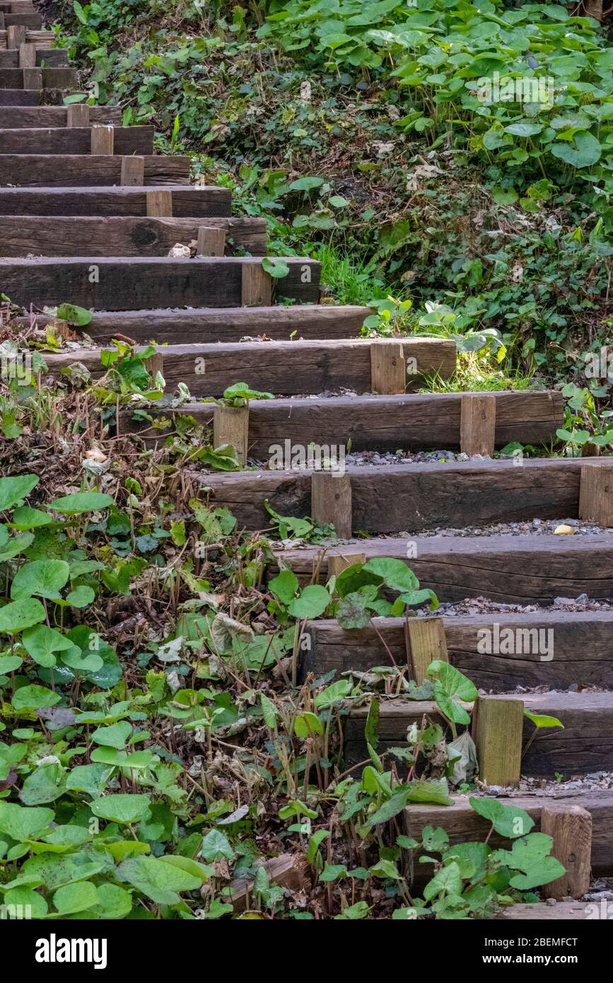 Traversine del giardino immagini e fotografie stock ad alta risoluzione ...