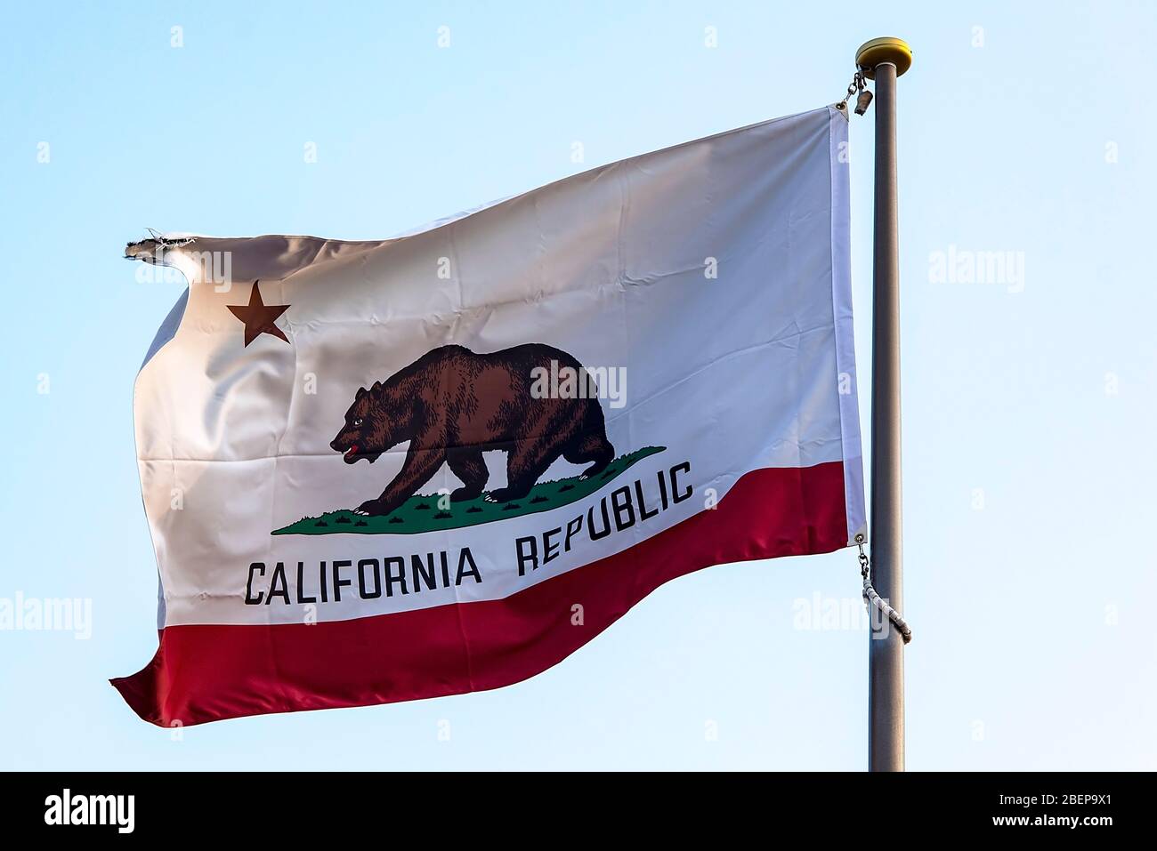 Simbolo dello stato della california immagini e fotografie stock ad ...
