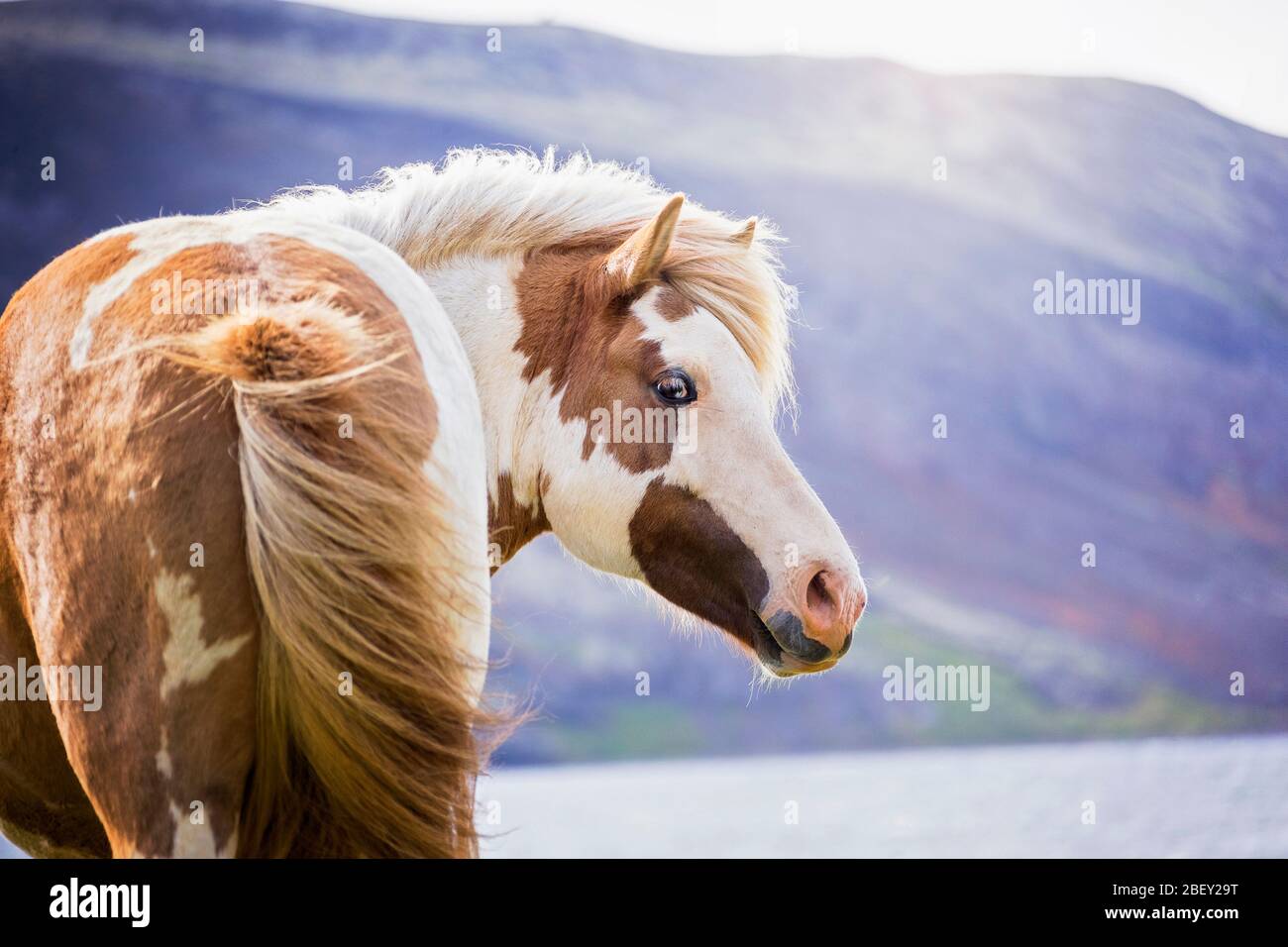 Montagna di pinto immagini e fotografie stock ad alta risoluzione - Alamy