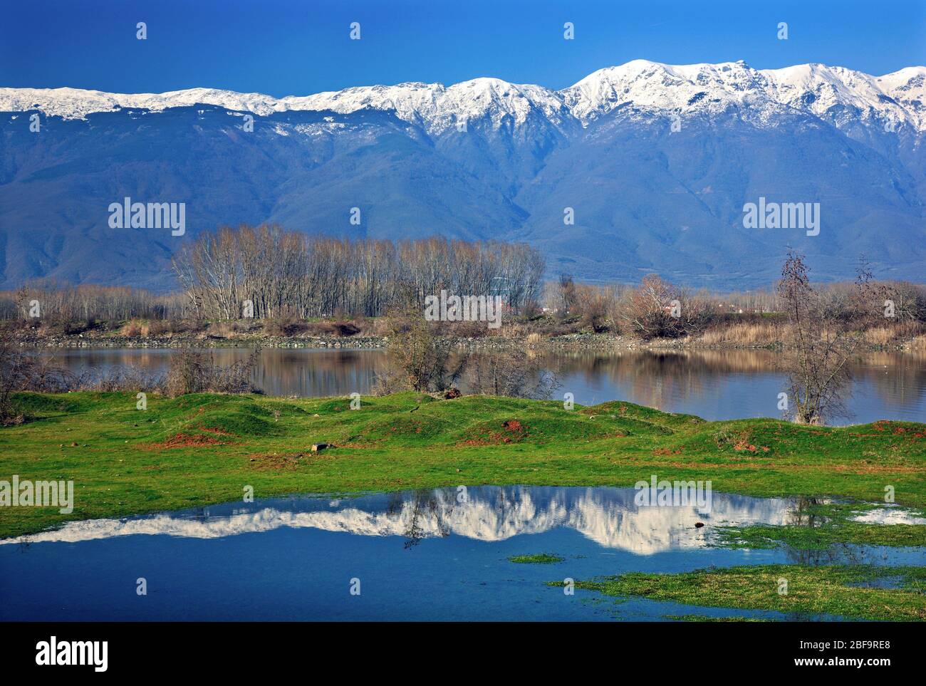 Ecosistema dei laghi di montagna immagini e fotografie stock ad alta ...