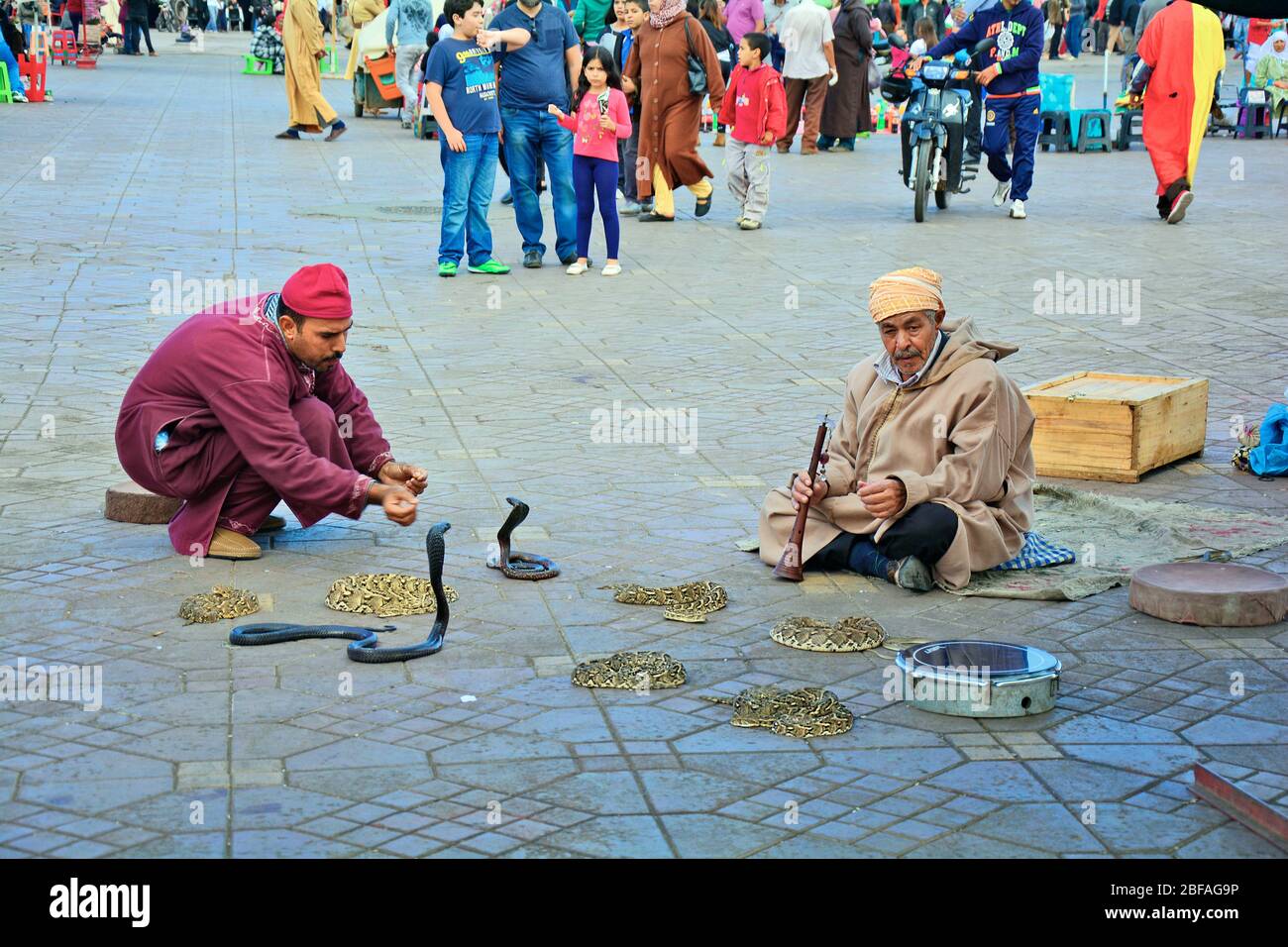 Incantatore di serpenti marocco immagini e fotografie stock ad alta ...