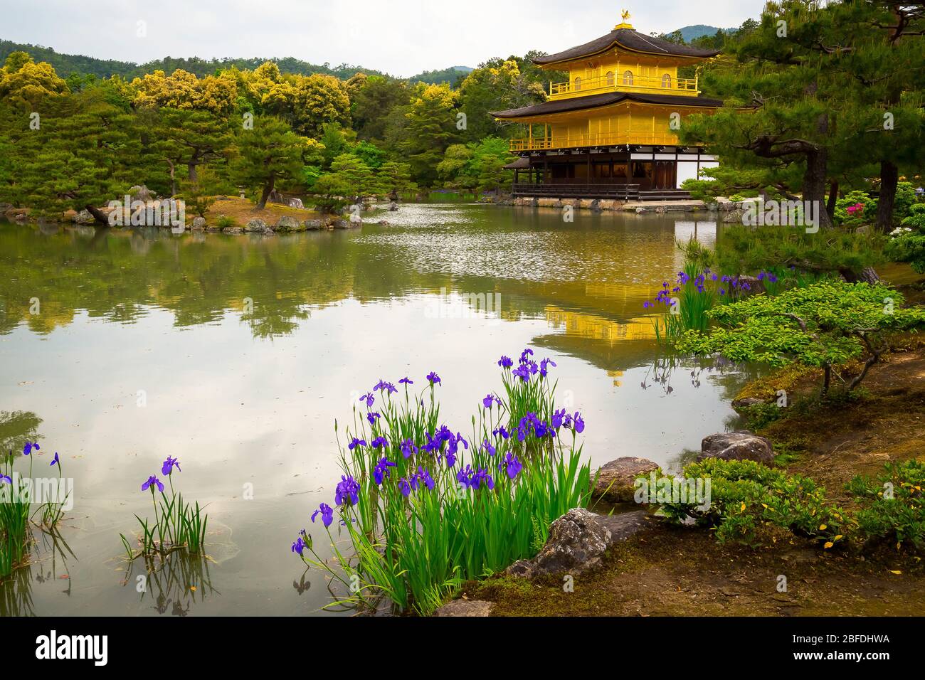 Fiori del tempio di kyoto immagini e fotografie stock ad alta ...
