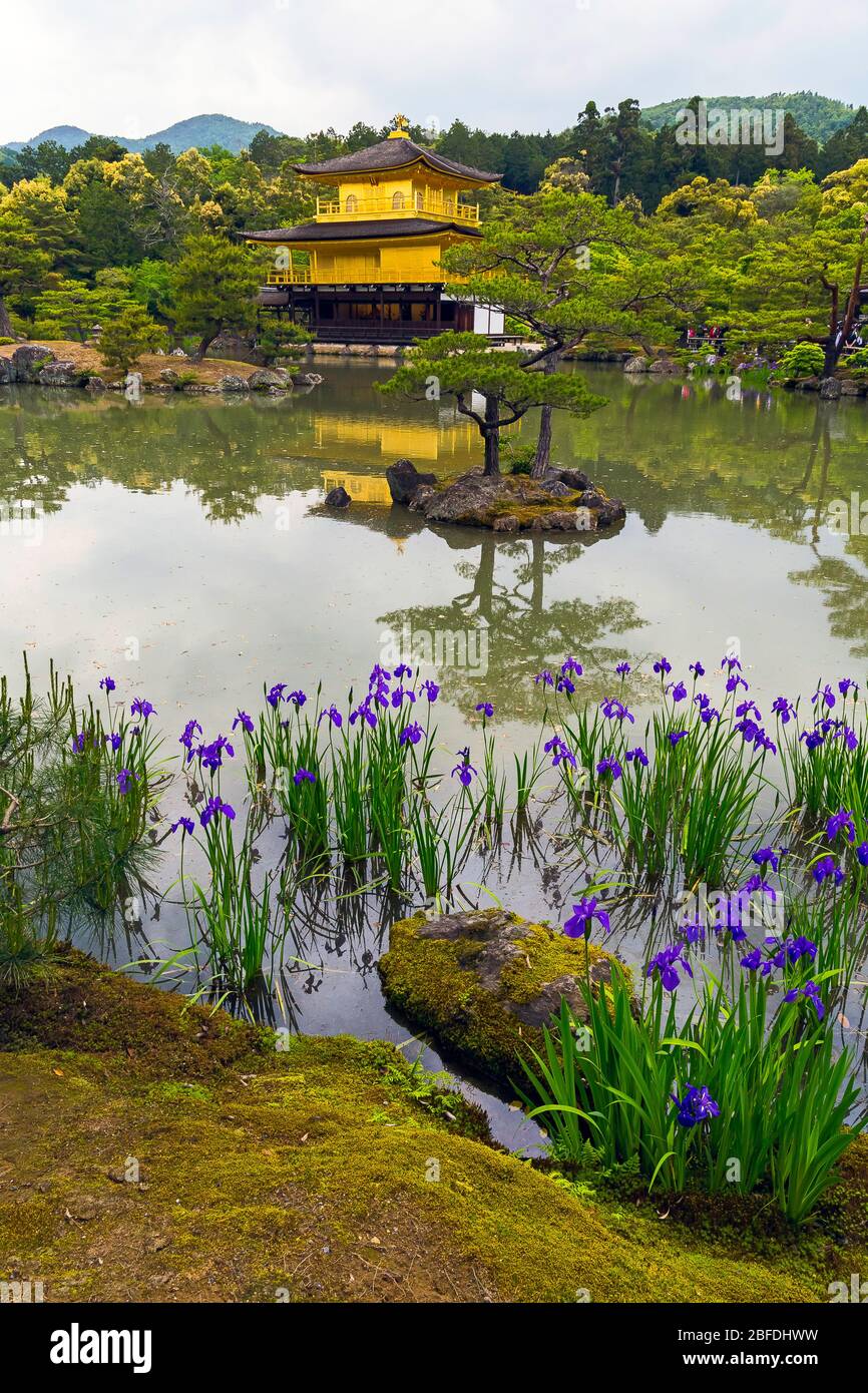 Fiori del tempio di kyoto immagini e fotografie stock ad alta ...