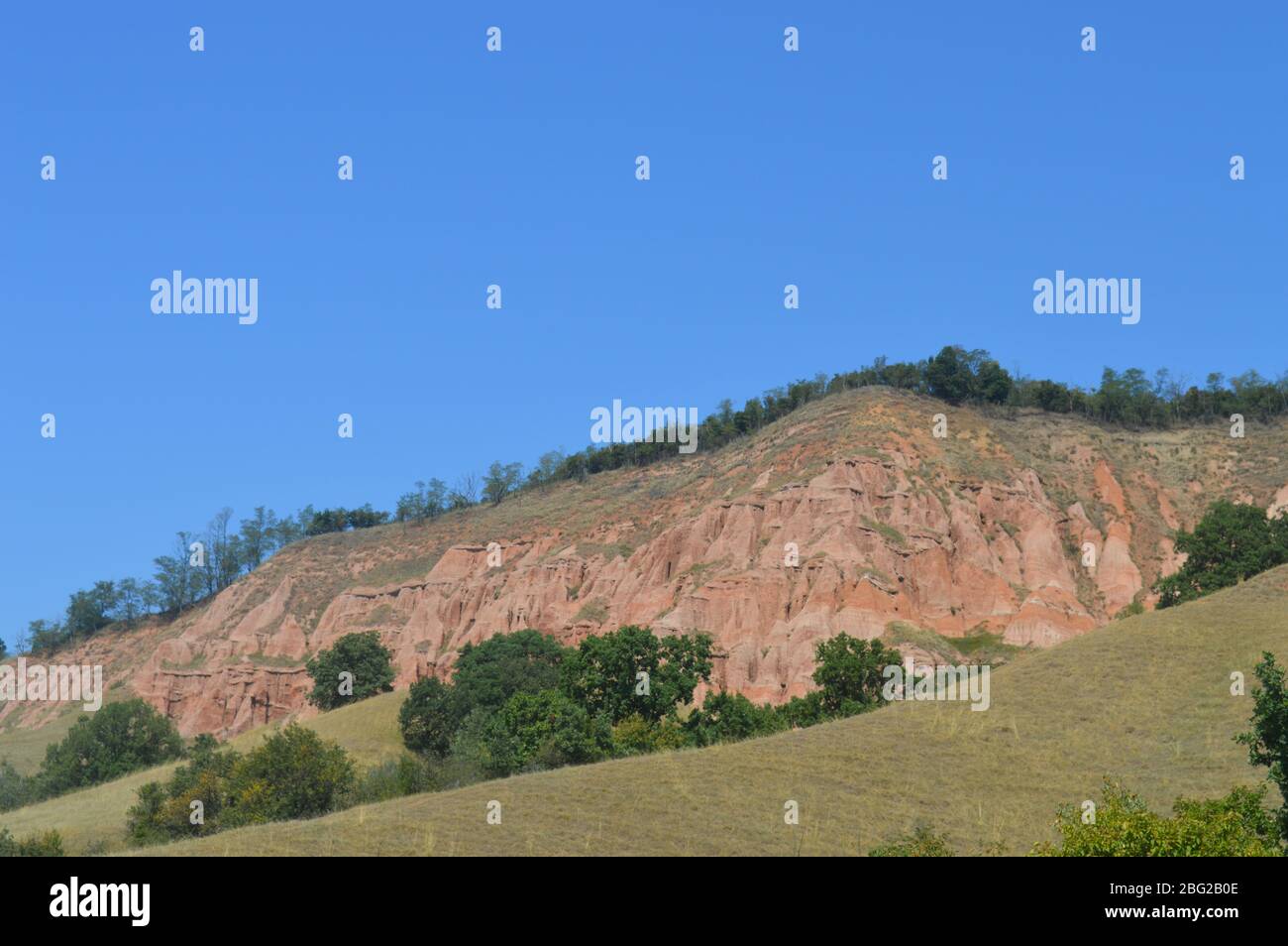 Foresta del burrone immagini e fotografie stock ad alta risoluzione - Alamy