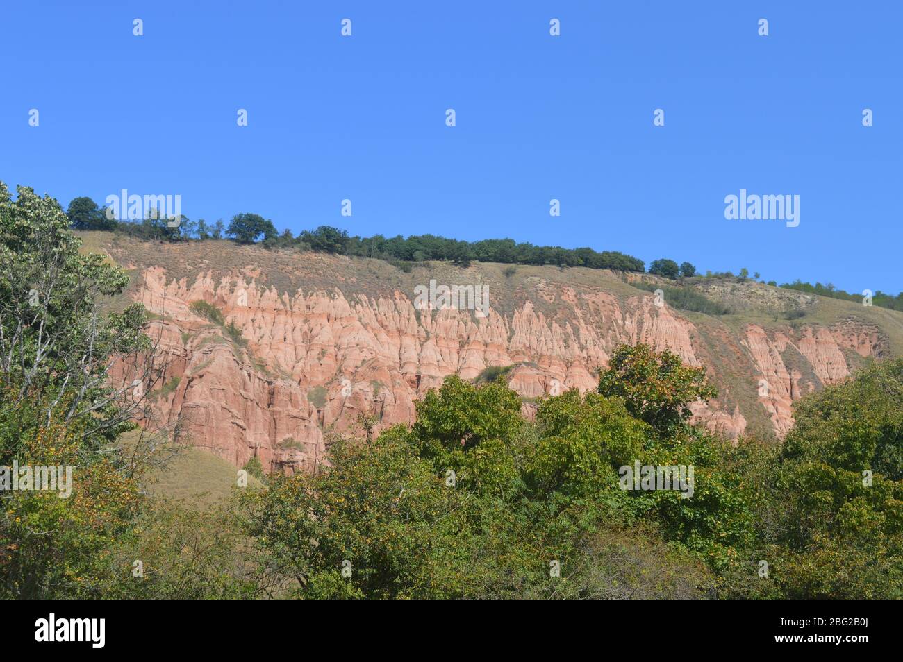 Foresta del burrone immagini e fotografie stock ad alta risoluzione - Alamy