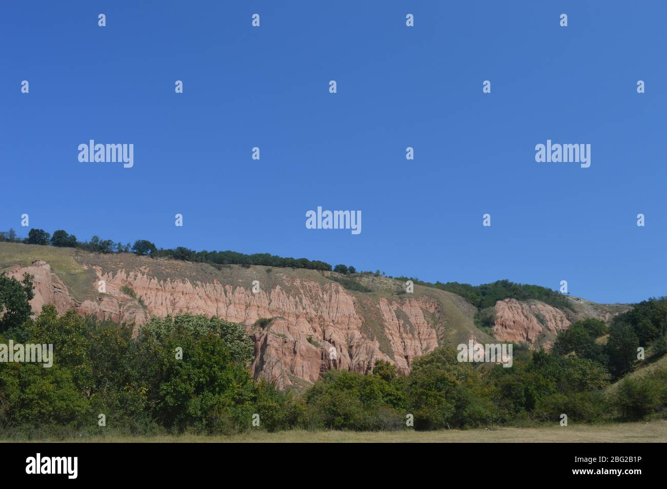 Foresta del burrone immagini e fotografie stock ad alta risoluzione - Alamy