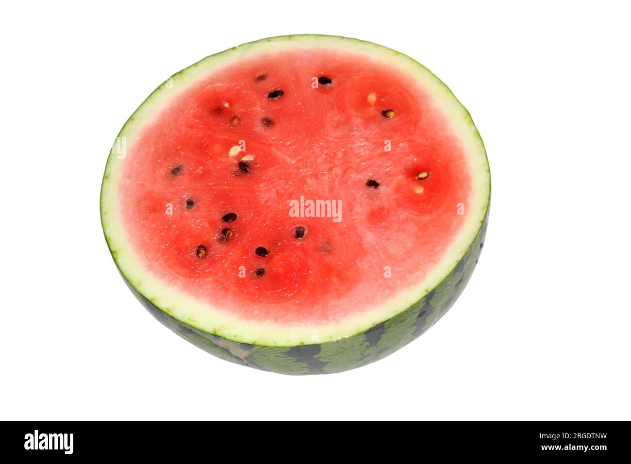 Piante anatomia dettagliata immagini e fotografie stock ad alta ...