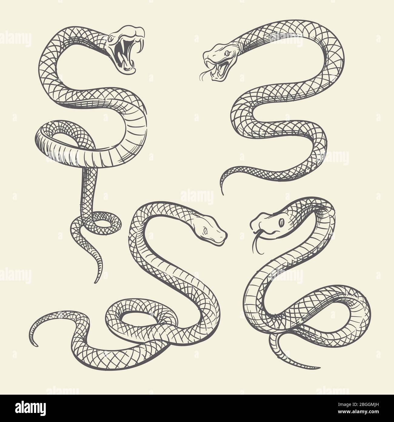 Disegno serpente immagini e fotografie stock ad alta risoluzione - Alamy