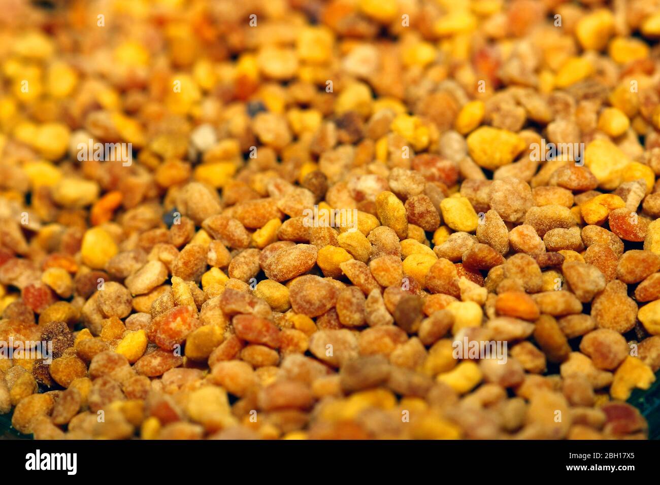 Polline di pane d'api immagini e fotografie stock ad alta risoluzione ...