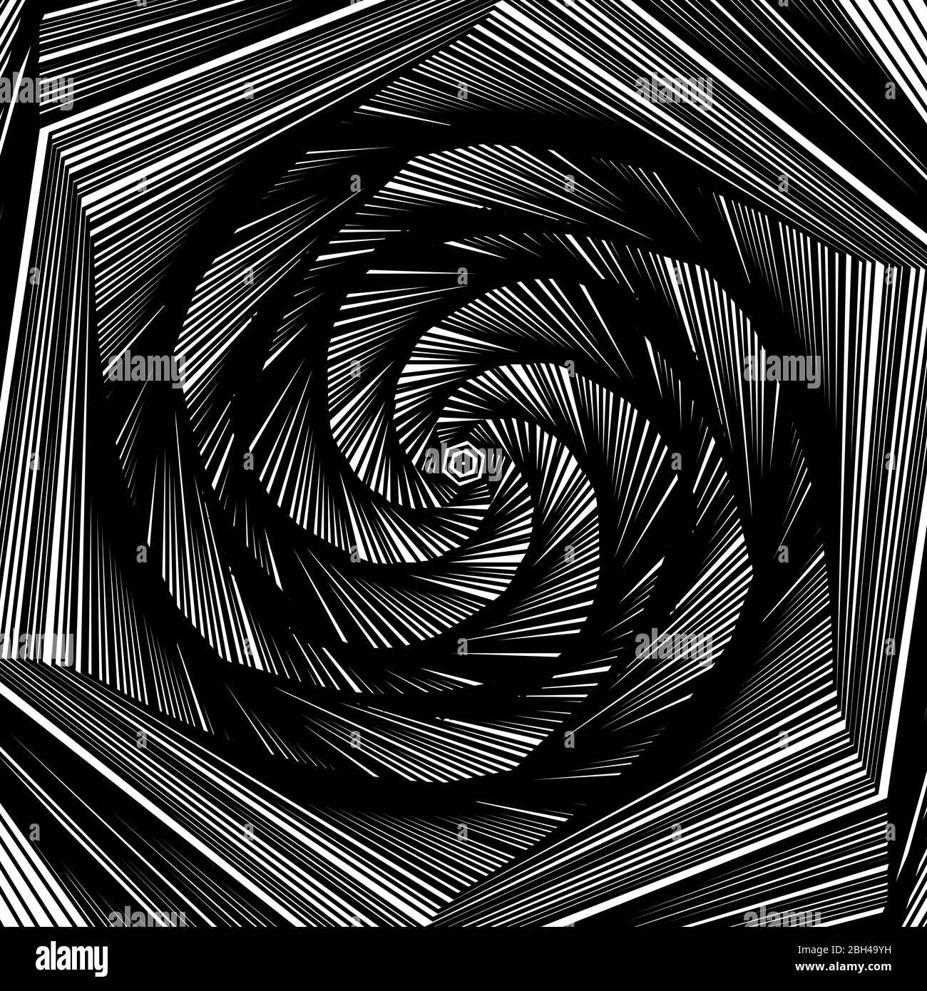 Le forme rotonde ruotano il disegno modello modello shell modello ...