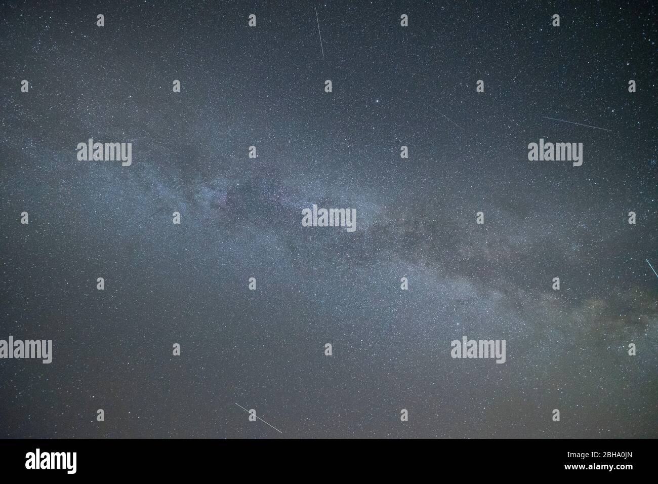 Celo stellato immagini e fotografie stock ad alta risoluzione - Alamy