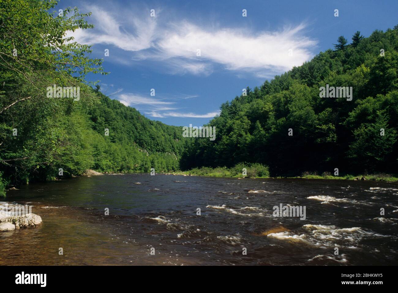 Lehigh gorge state park immagini e fotografie stock ad alta risoluzione ...