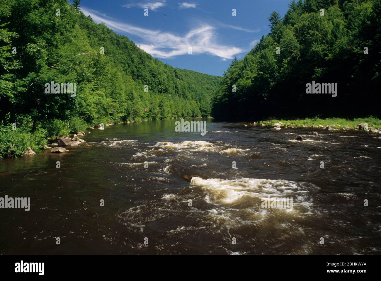 Lehigh gorge state park immagini e fotografie stock ad alta risoluzione ...