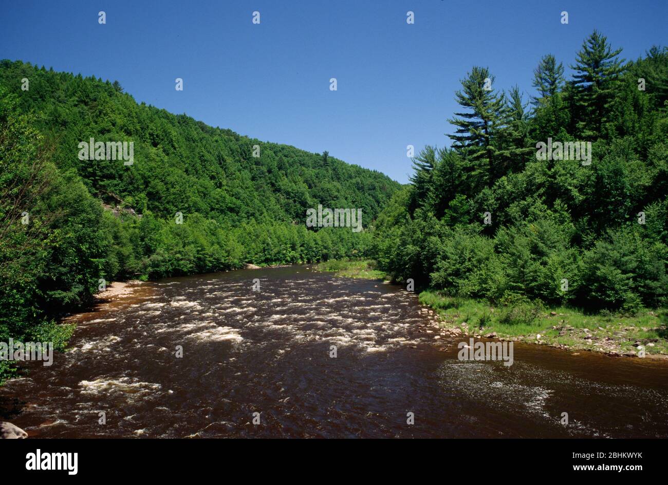 Lehigh gorge state park immagini e fotografie stock ad alta risoluzione ...
