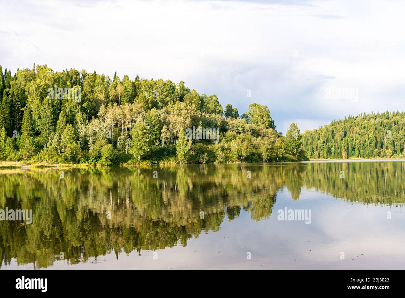 Flora della taiga immagini e fotografie stock ad alta risoluzione - Alamy
