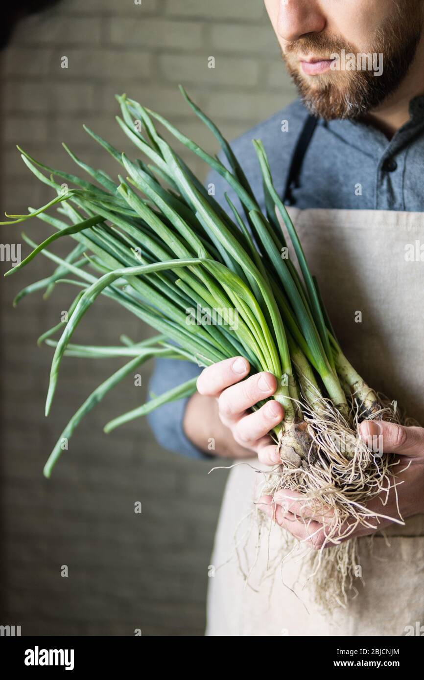 Tenere la pianta di porro immagini e fotografie stock ad alta ...