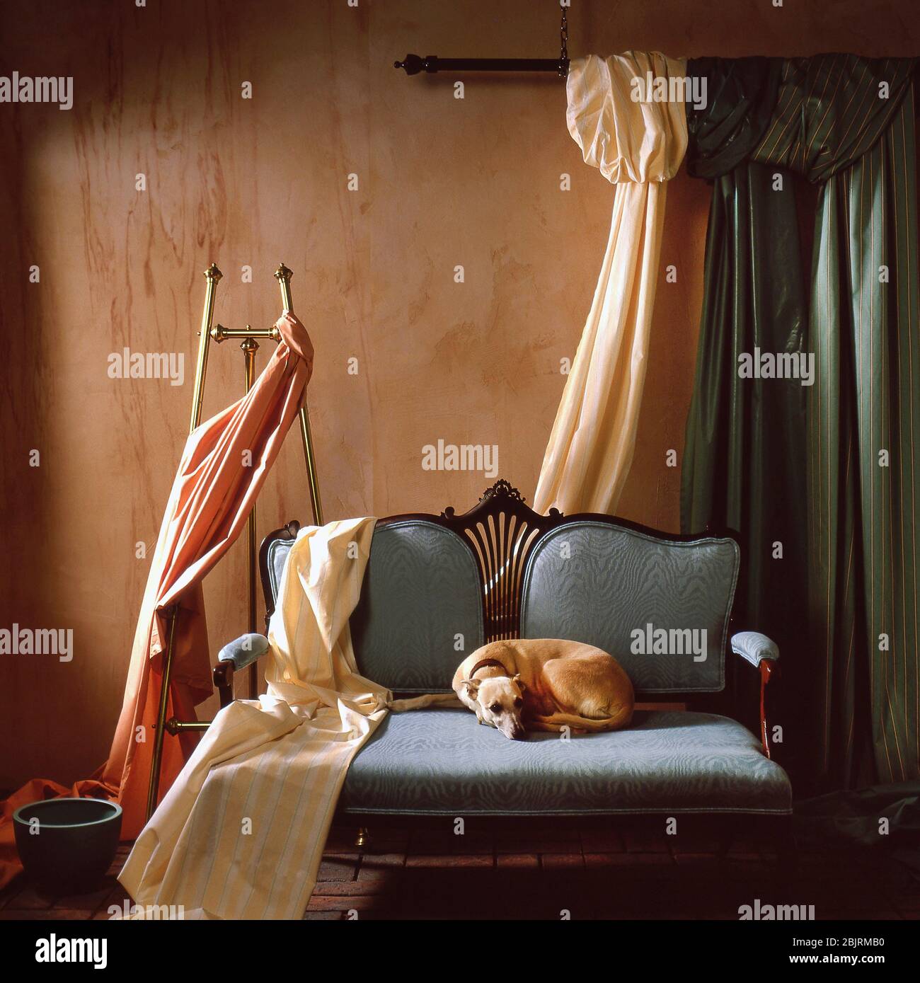 Disegno del cane immagini e fotografie stock ad alta risoluzione - Alamy