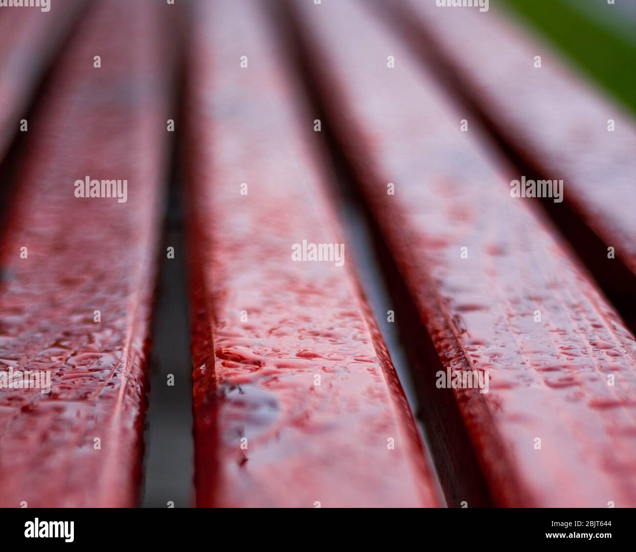 Travi di quercia di legno immagini e fotografie stock ad alta ...