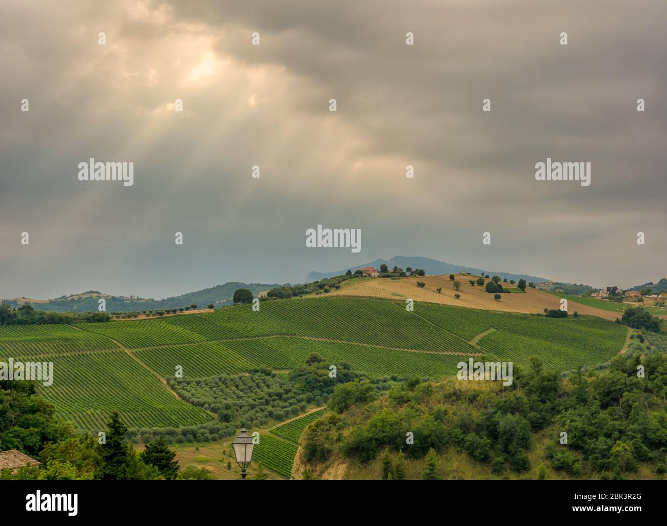 Agricoltura in collina immagini e fotografie stock ad alta risoluzione ...