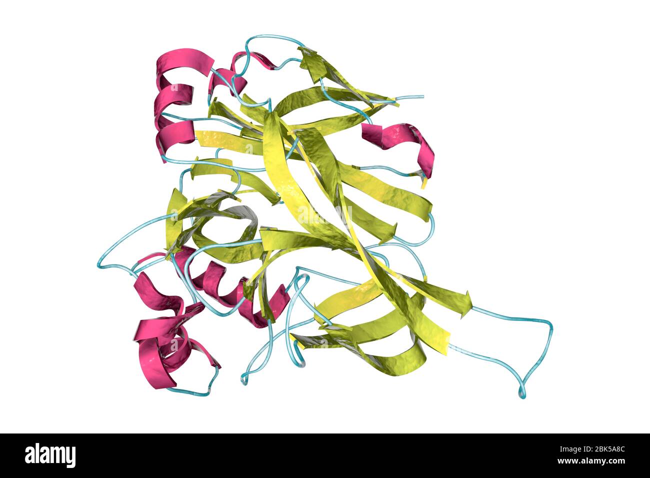 Glicoproteina di membrana Immagini senza sfondo e Foto Stock ritagliate ...