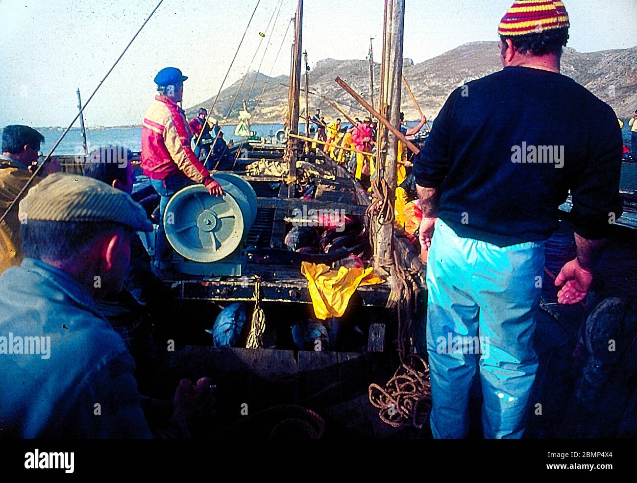 Mattanza favignana immagini e fotografie stock ad alta risoluzione - Alamy