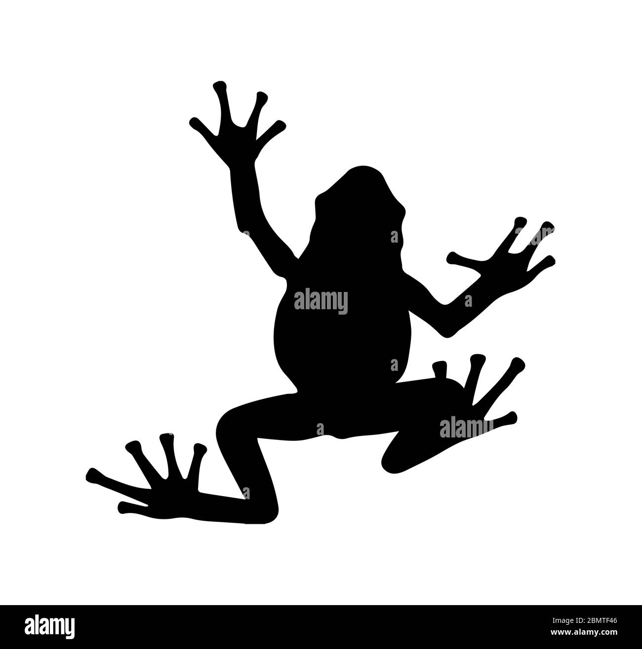 Silhouette di rana Foto e Immagini Stock in Bianco e Nero - Alamy