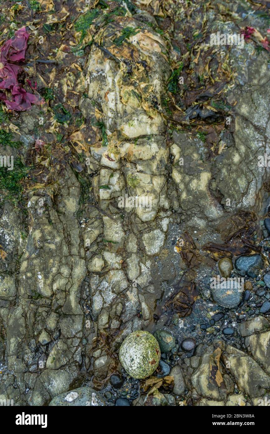 Letto roccioso vedere con la bassa marea immagini e fotografie stock ad ...