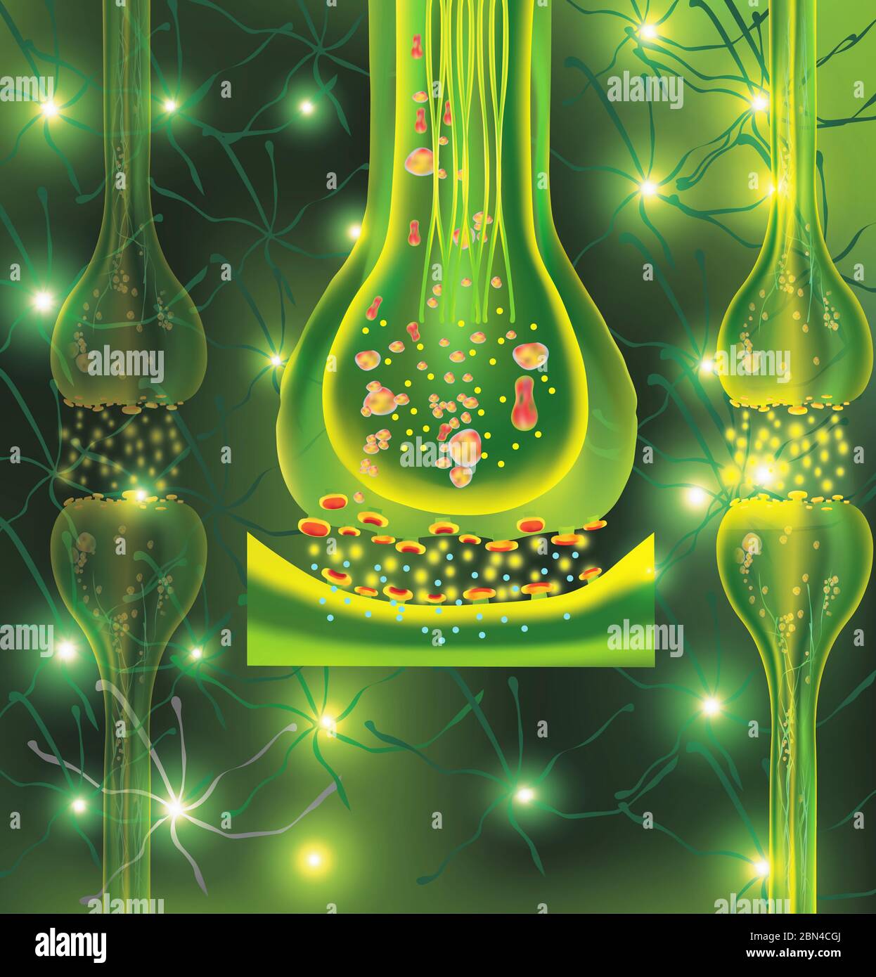 Trasmissione sinaptica immagini e fotografie stock ad alta risoluzione ...