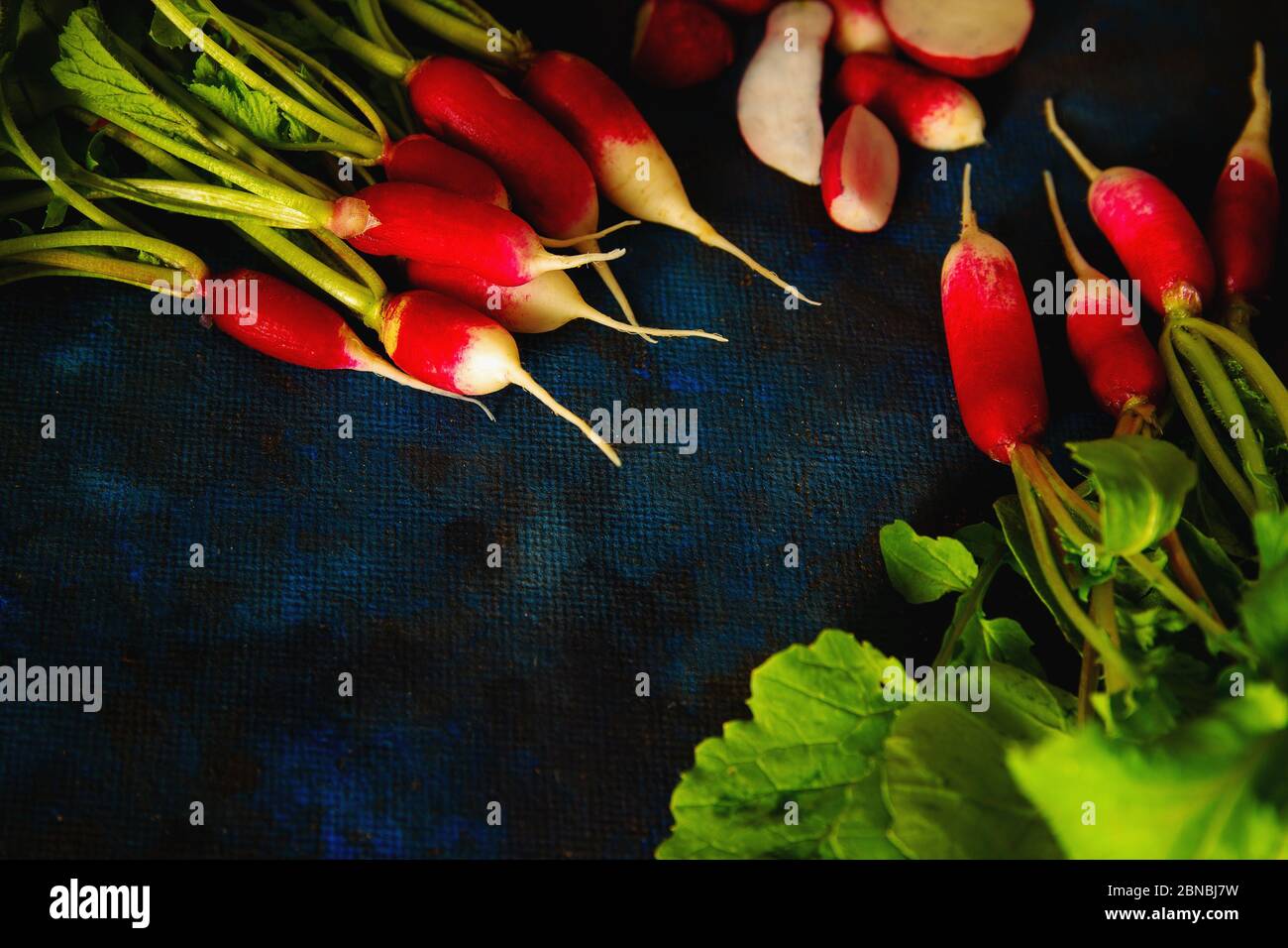 Una pianta di ravanello immagini e fotografie stock ad alta risoluzione ...