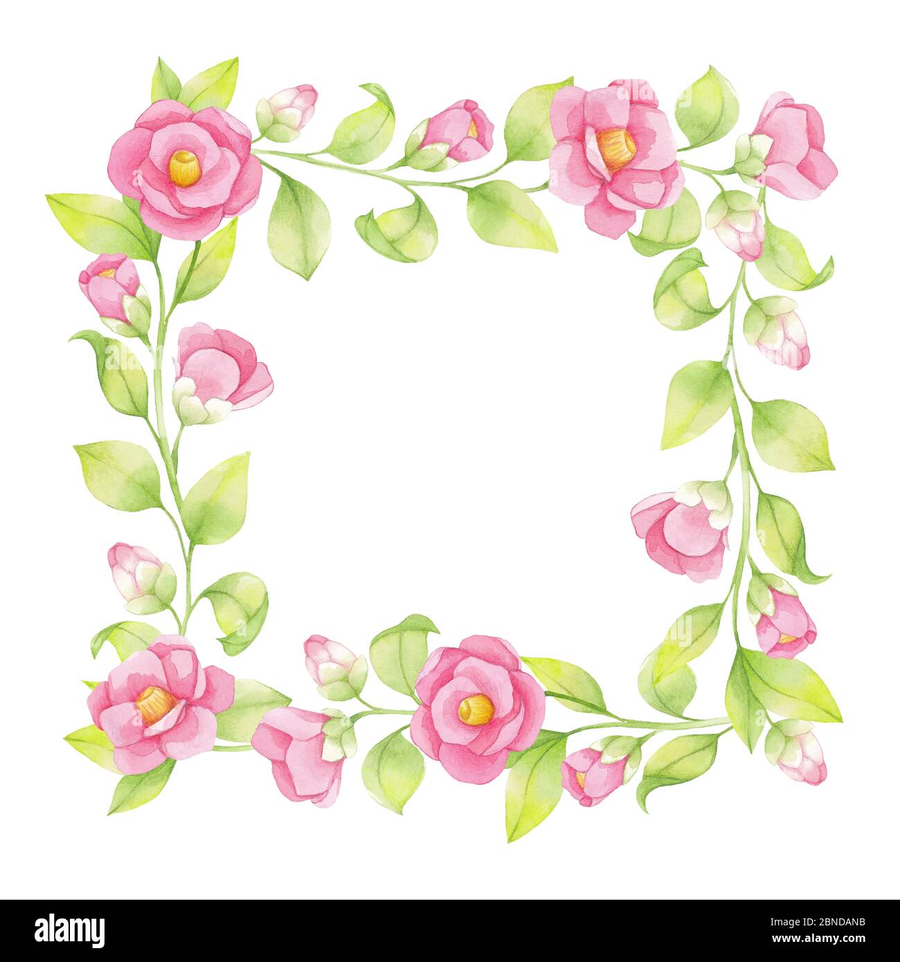 Cornice quadrata di fiori rosa e ramoscelli verdi, foglie isolate su ...