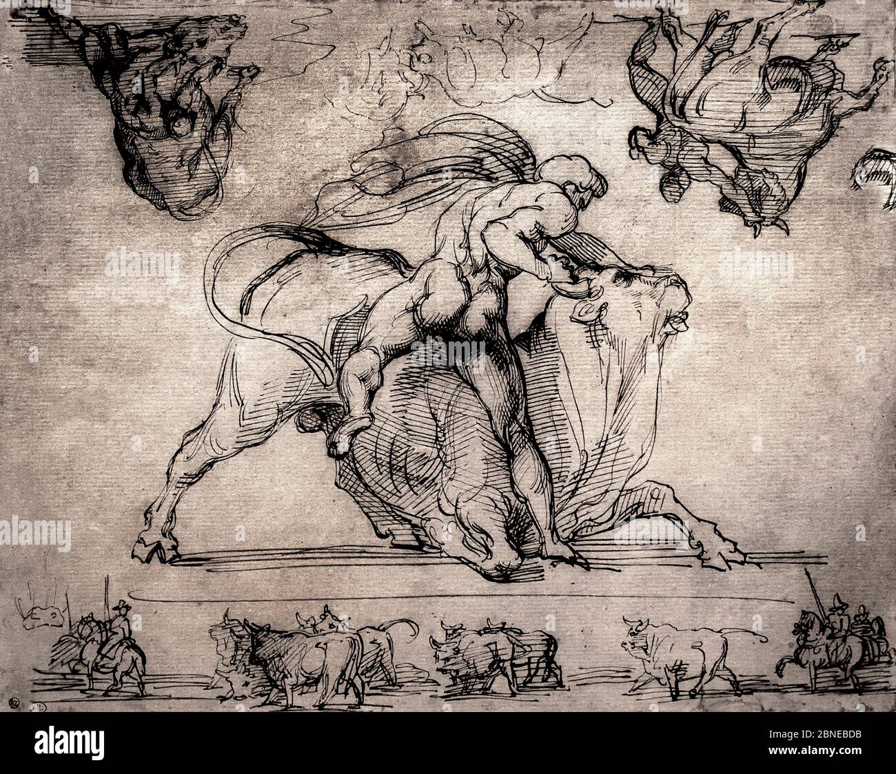 Ritratto di un bue immagini e fotografie stock ad alta risoluzione - Alamy