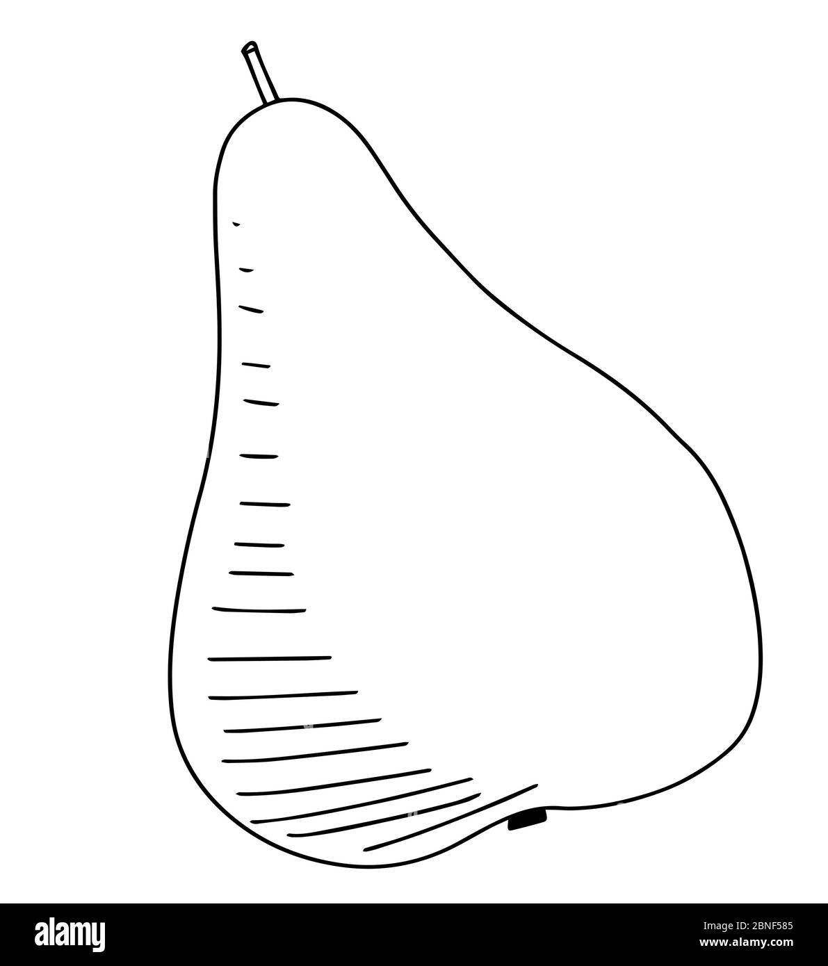Disegno di una pera immagini e fotografie stock ad alta risoluzione - Alamy