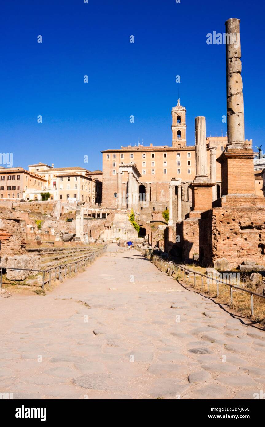 Colonne tetrariche (colonne onorarie), Foro Romano, Patrimonio dell ...