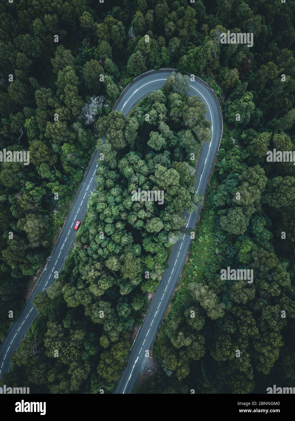 Curva della strada forestale immagini e fotografie stock ad alta ...