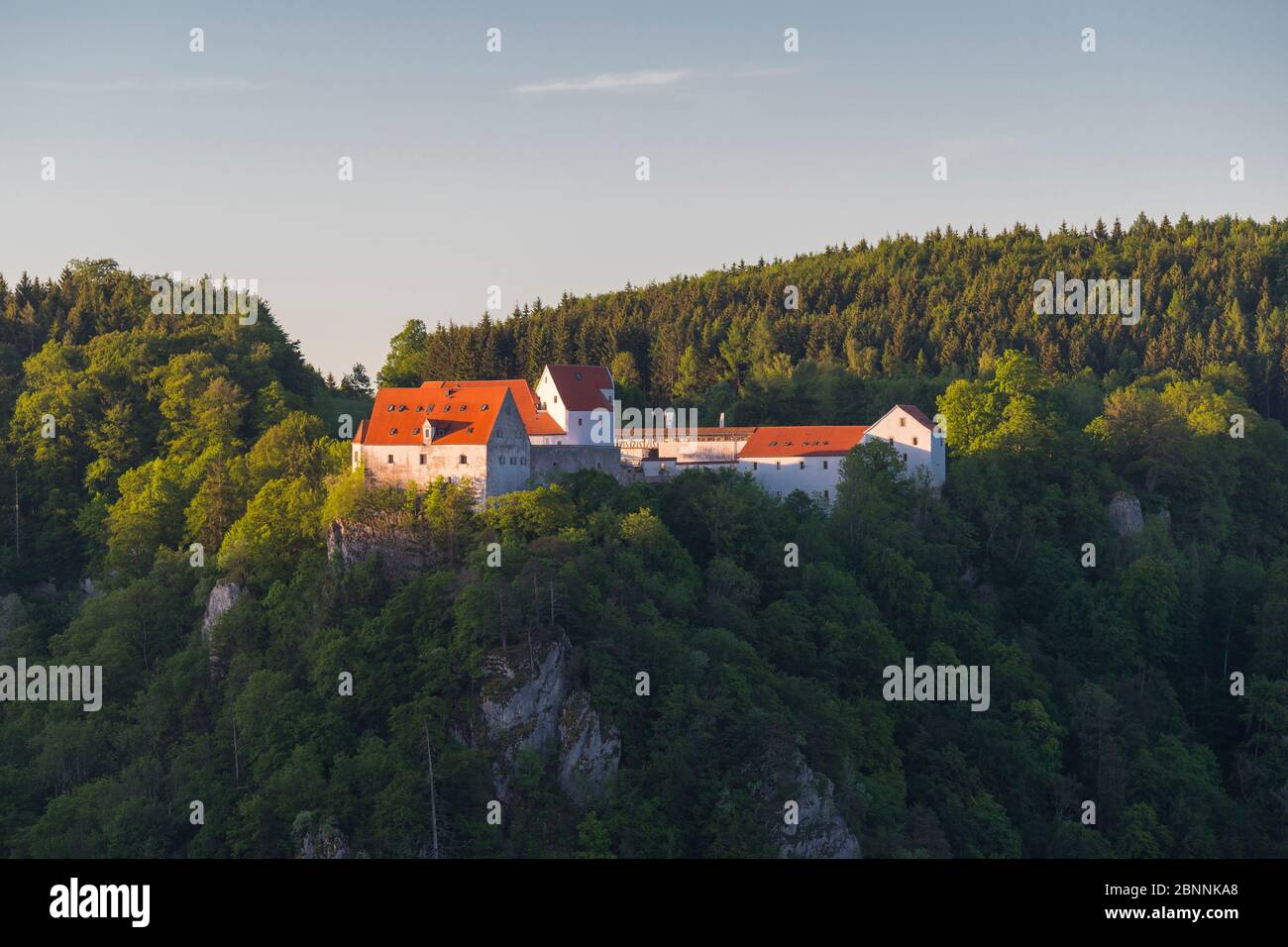 Castello burg wildenstein immagini e fotografie stock ad alta ...