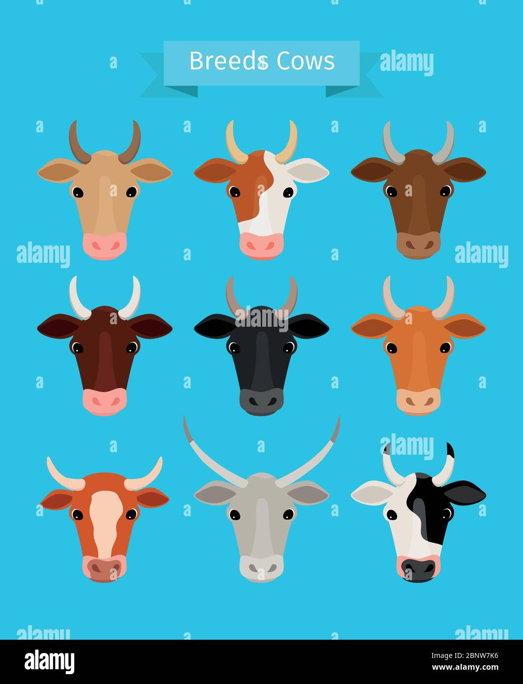 Muso di mucca Immagini Vettoriali Stock - Alamy