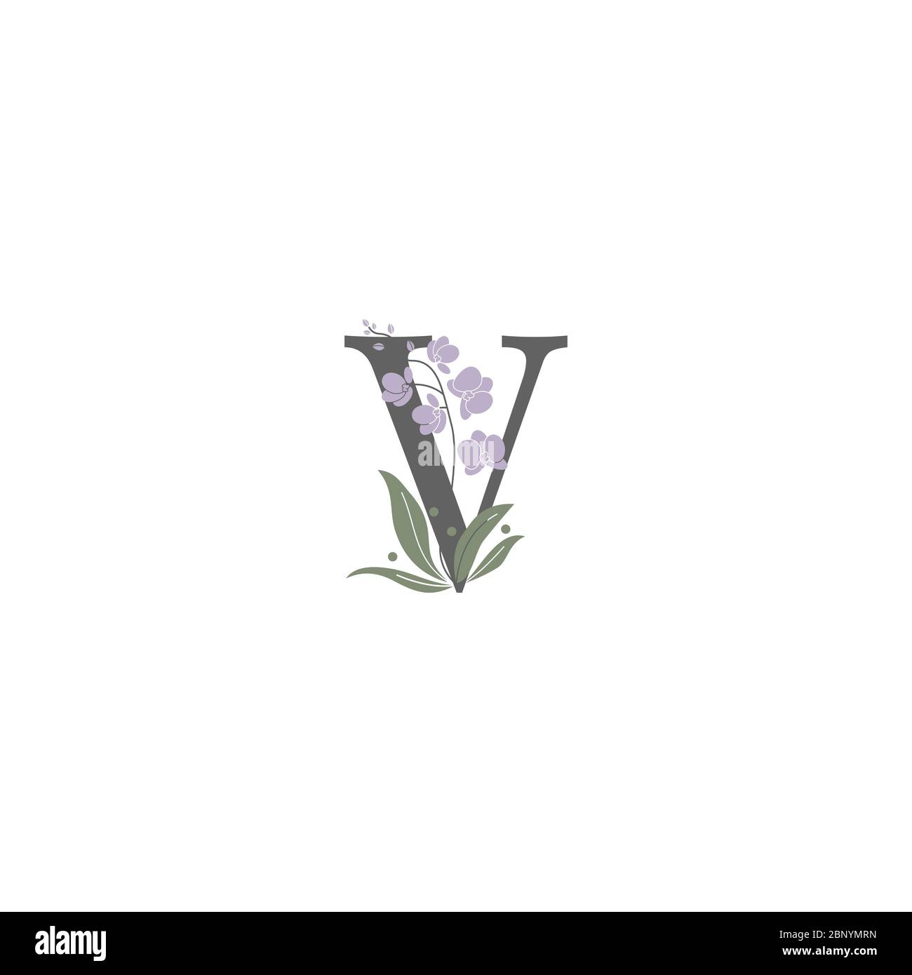 Alfabeto v Immagini Vettoriali Stock - Alamy