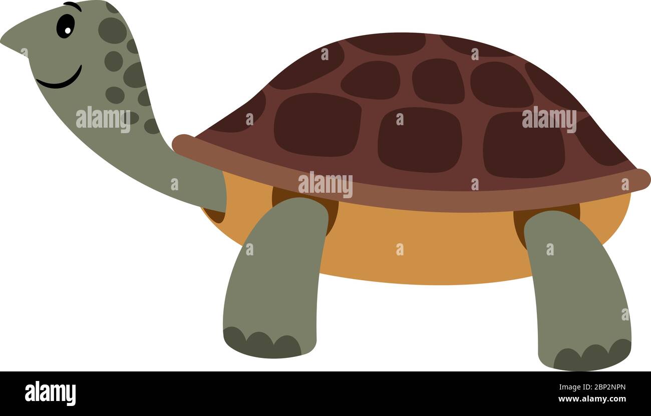 Cartone animato tartaruga immagini e fotografie stock ad alta ...