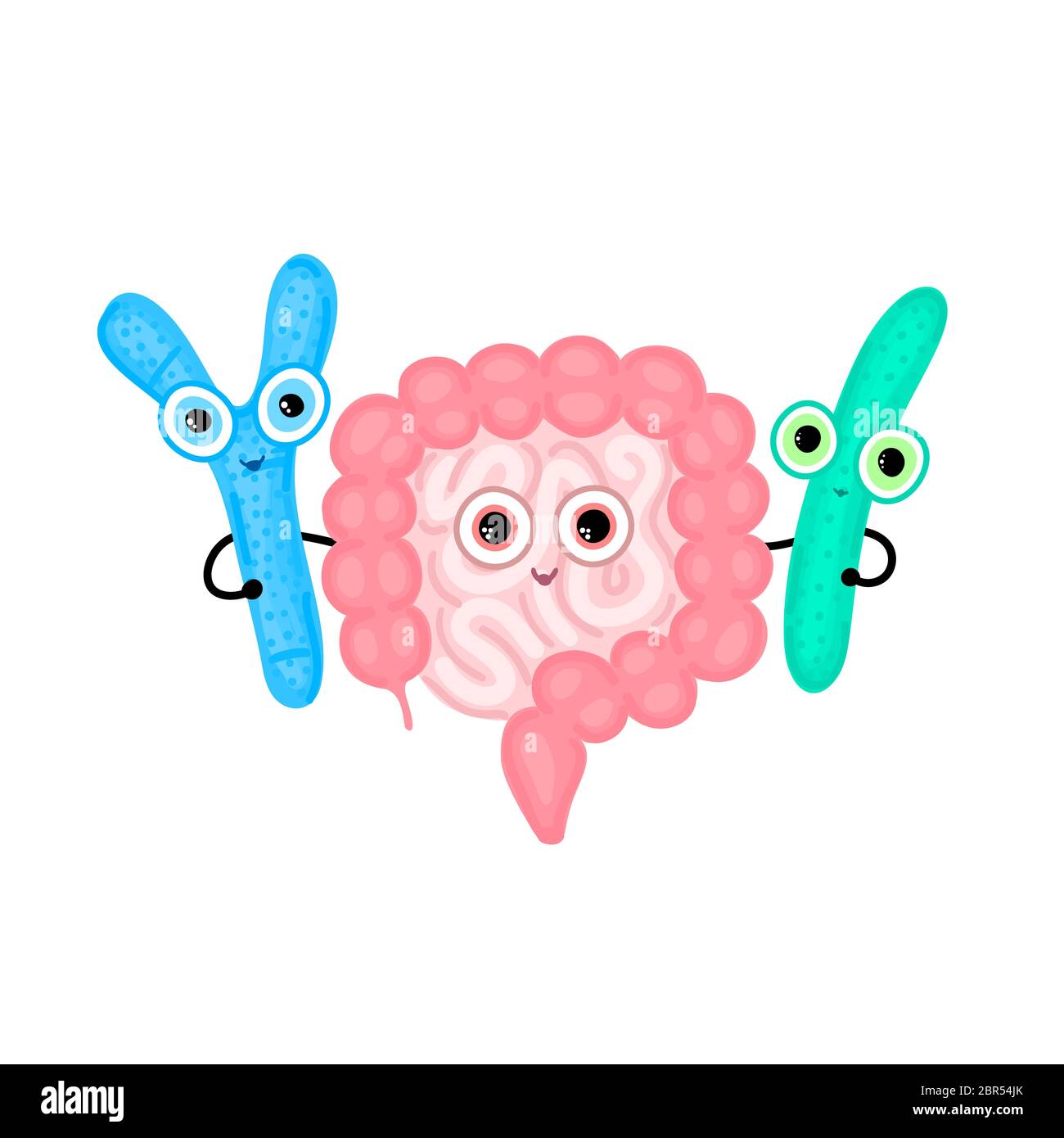 Sistema digestivo umano microbiota immagini e fotografie stock ad alta ...