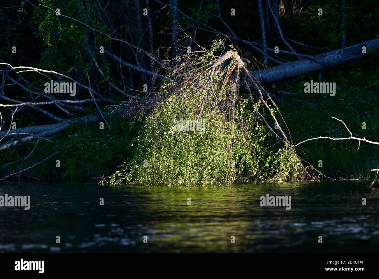 Torne river immagini e fotografie stock ad alta risoluzione - Alamy