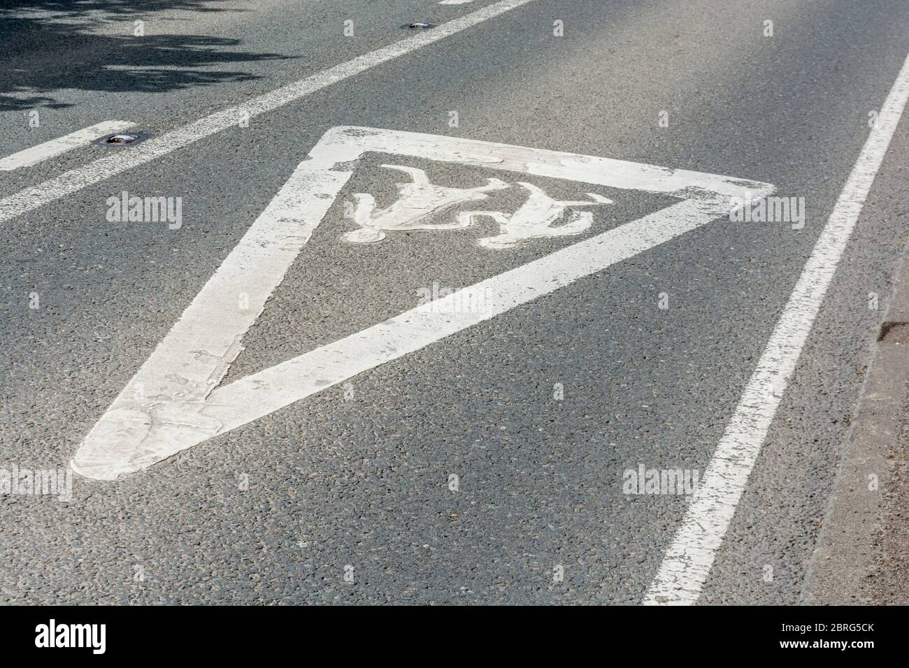 Scuola di pittogrammi immagini e fotografie stock ad alta risoluzione ...