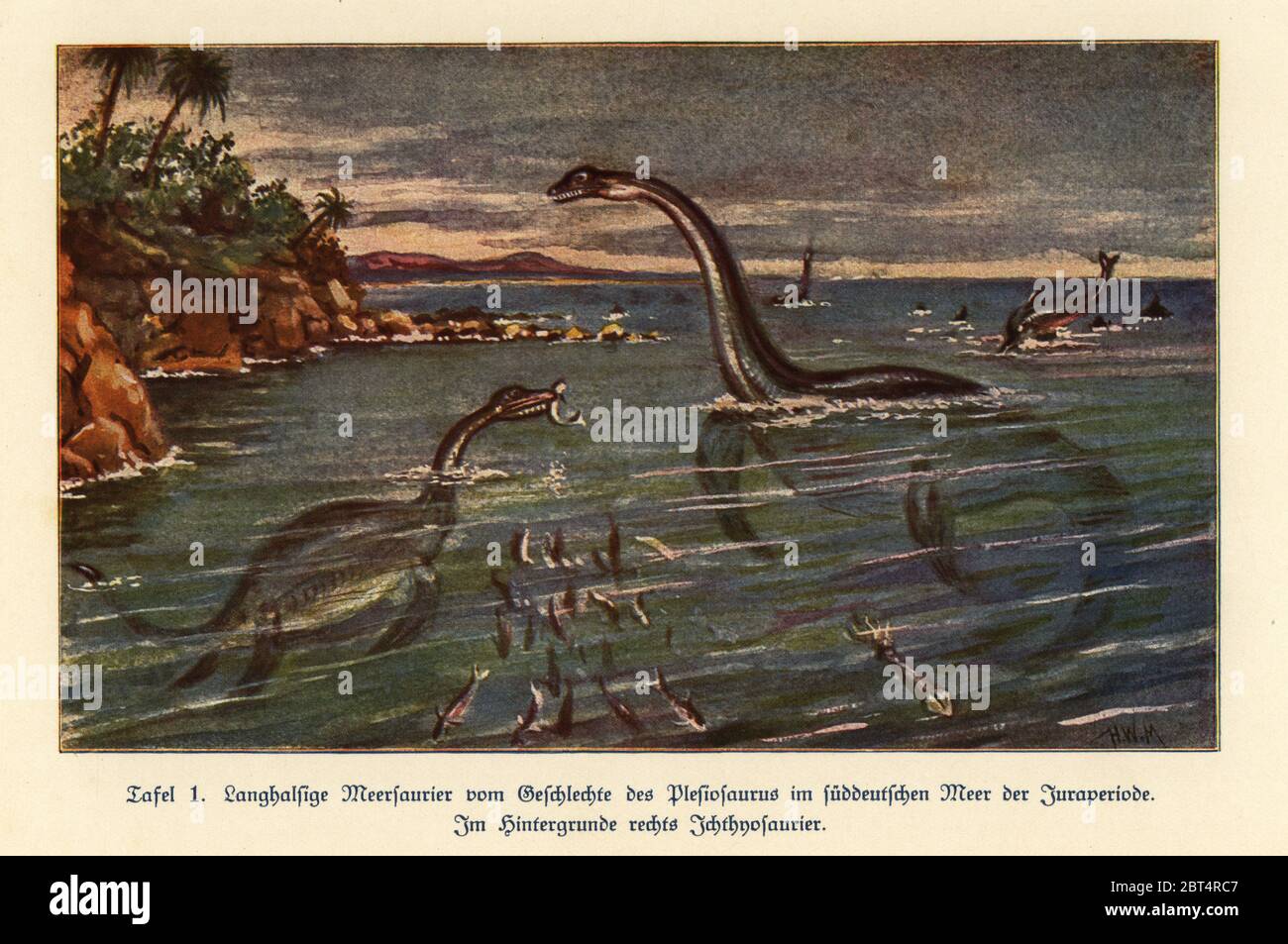 Dinosauri marini immagini e fotografie stock ad alta risoluzione - Alamy