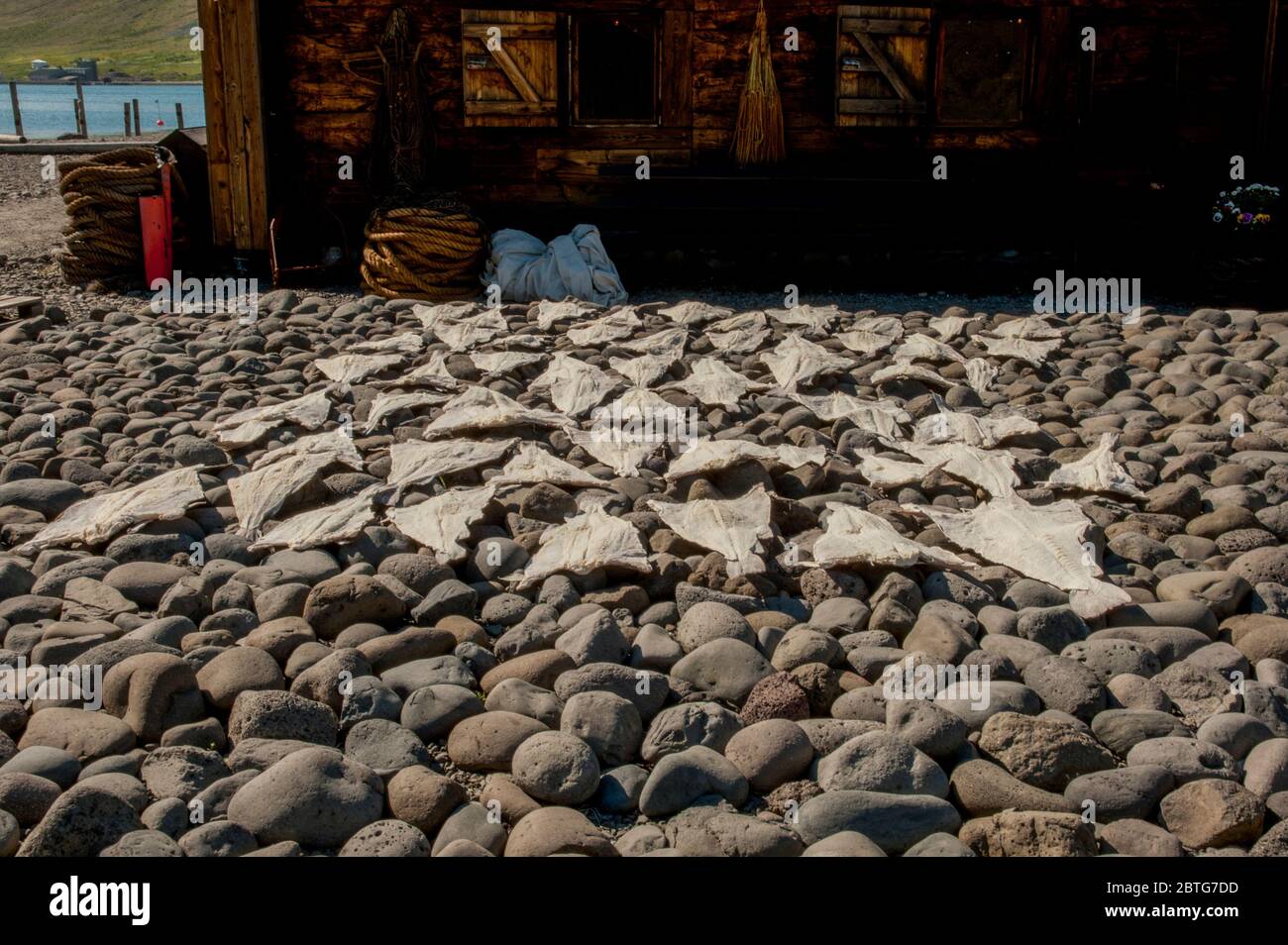 Industria del pesce secco immagini e fotografie stock ad alta ...